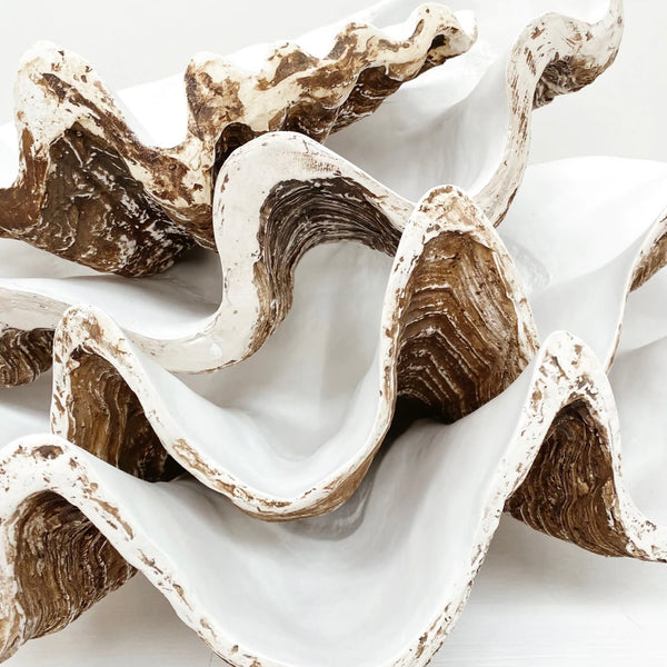 The Clam Shell - Large – Moss Nest